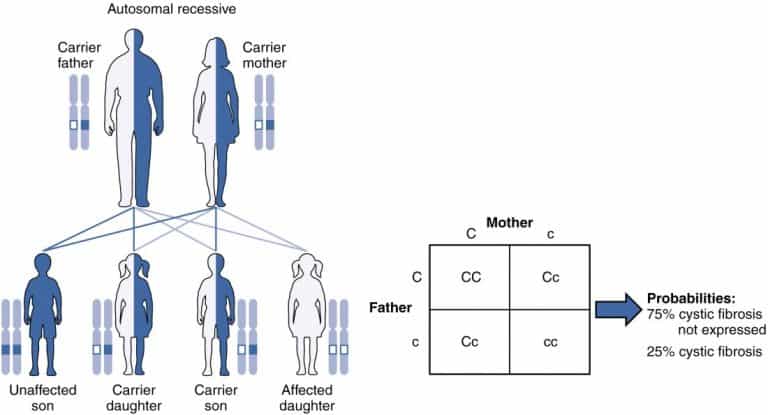 Patterns of Disease Inheritance - almostadoctor