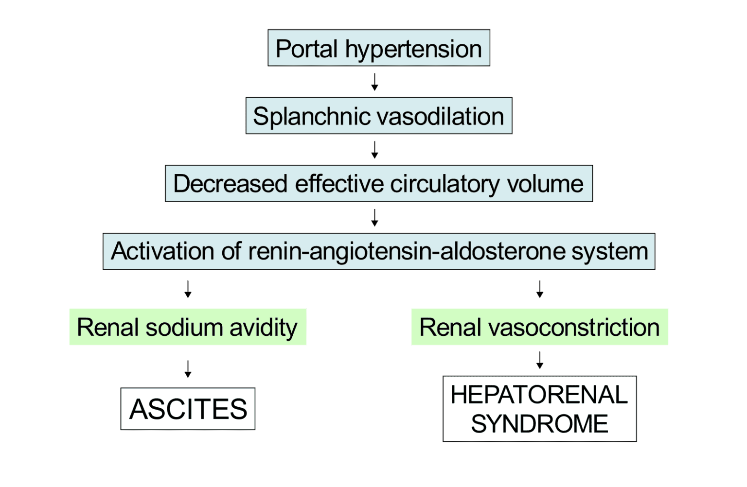 Hepatorenal Syndrome (HRS) - almostadoctor